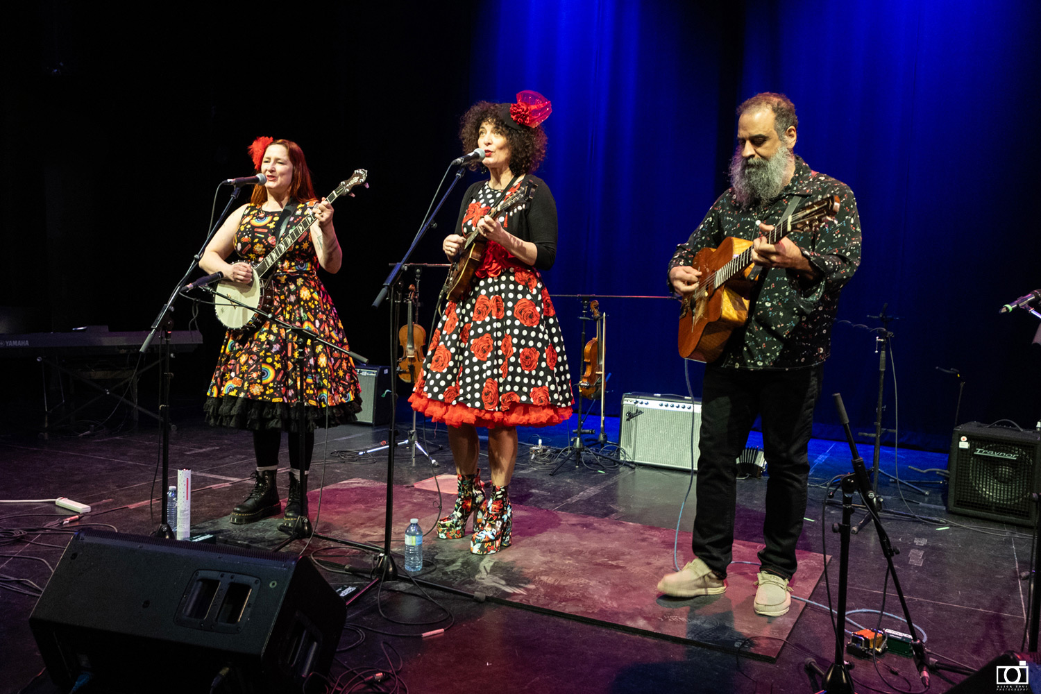 Lauréats des Prix de musique folk canadienne 2024 - Canadian Folk Music ...